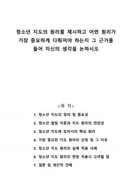 청소년 지도의 원리를 제시하고 어떤 원리가 가장 중요하게 다뤄져야 하는지 그 근거를 들어 자신의 생각을 논하시오-1페이지