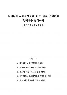 우리나라 사회복지정책 중 한 가지 선택하여 정책내용 분석하기  (국민기초생활보장제도)-1페이지