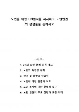 노인을 위한 UN원칙을 제시하고 노인인권의 쟁점들을 논하시오-1페이지