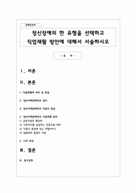 정신장애의 한 유형을 선택하고 직업재활 방안에 대해서 서술하시오-1페이지