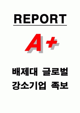 배제대 글로벌 강소기업 족보 A+-1페이지