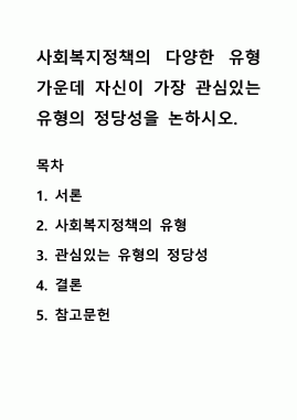 사회복지정책의 다양한 유형 가운데 자신이 가장 관심있는 유형의 정당성을 논하시오.-1페이지