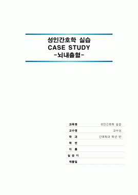 [성인간호학 실습] 뇌내출혈 간호과정-1페이지