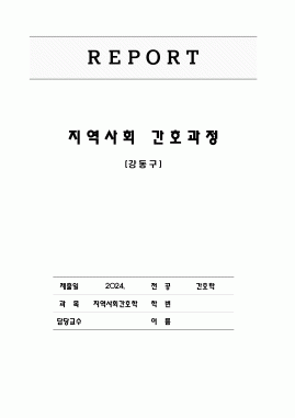 지역사회간호학. 간호과정 적용(강동구 지역보건계획 참고)-1페이지