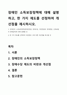 장애인 소득보장정책에 대해 설명하고, 한 가지 제도를 선정하여 개선점을 제시하시오.-1페이지