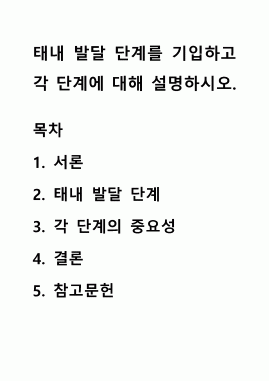 태내 발달 단계를 기입하고 각 단계에 대해 설명하시오-1페이지