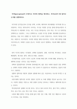 지각의 정의 및 지각의 법칙과 지각오류가 일어나는 이유-1페이지