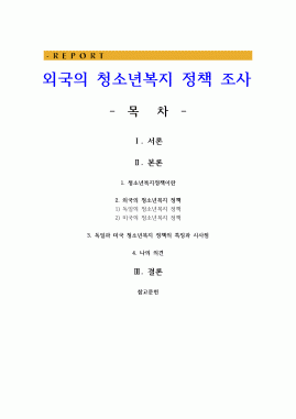 외국의 청소년복지 정책 조사-1페이지