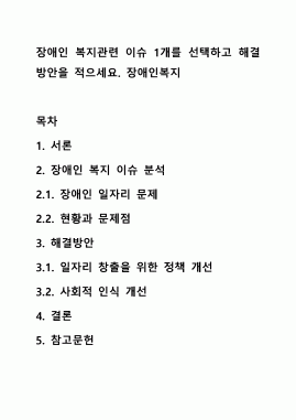 장애인 복지관련 이슈 1개를 선택하고 해결방안을 적으세요. 장애인복지-1페이지