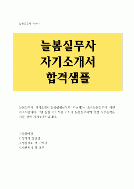 늘봄실무사자기소개서 팔방미인 늘봄행정실무사자소서 늘봄학교실무사자소서 초등늘봄실무사자기소개서 늘봄지원센터실무사자기소개서샘플-1페이지