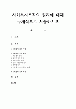 사회복지조직의 원리에 대해 구체적으로 서술하시오-1페이지