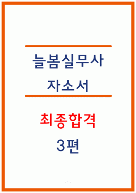 늘봄실무사 자소서 최종합격3편 지원동기 주요경력 직무수행계획등-1페이지