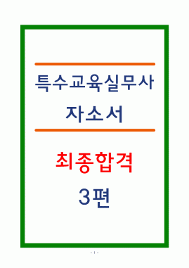 특수교육실무사 자소서 최종합격 3편 모음 지원동기 직무수행계획 등-1페이지