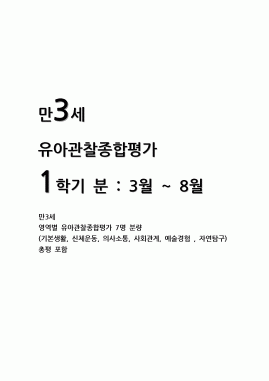 만3세 발달평가 유아관찰종합평가 (3월 ~ 8월 : 1학기 분량) - 기본생활, 신체운동, 의사소통, 사회관계, 예술경험 , 자연탐구 6개 영역 어린이집 관찰일지 평가인증관찰일지 유아관찰일지-1페이지