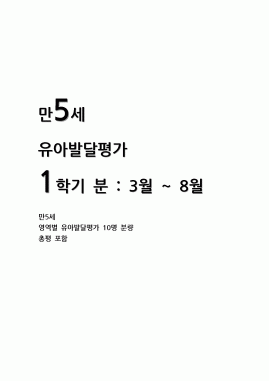 만5세 발달평가 유아관찰종합평가 (3월 ~ 8월 : 1학기 분량) - 기본생활, 신체활동, 사회관계, 의사소통, 자연탐구, 예술경험 6개 영역 어린이집 관찰일지 평가인증관찰일지 유아관찰일지-1페이지