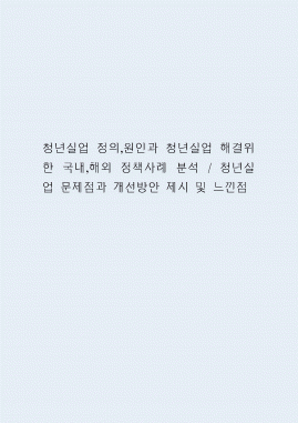 청년실업 정의,원인과 청년실업 해결위한 국내,해외 정책사례 분석 / 청년실업 문제점과 개선방안 제시 및 느낀점-1페이지