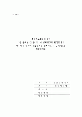 (2024)경찰행정법 과제-1페이지