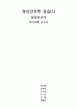 자기이해보고서, 대상자 이해, 초기단계(대사), 치료적 의사소통 기법 (정신간호학)-1페이지