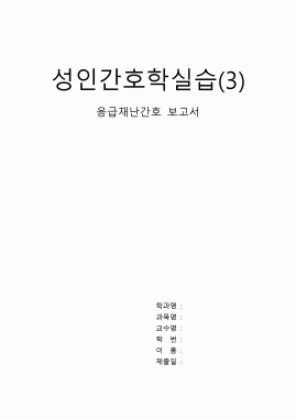 응급재난간호 보고서 성인간호학실습-1페이지