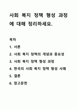 사회 복지 정책 형성 과정에 대해 정리하세요.-1페이지