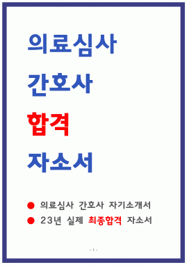 의료심사 간호사 자소서 KB손해사정 합격자소서-1페이지