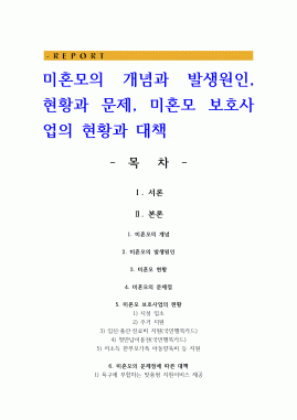 미혼모의 개념과 발생원인, 현황과 문제, 미혼모 보호사업의 현황과 대책-1페이지