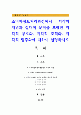 소비자정보처리과정에서 지각의 개념과 절대적 문턱을 포함한 지각적 부호화, 지각적 조직화, 지각적 범주화에 대하여 설명하시오-1페이지