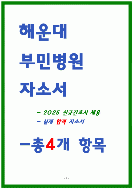 해운대부민병원 자소서 2025 신규간호사 채용-1페이지