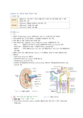 성인간호 필기정리(요로계)-1페이지