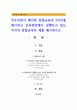 카우프만이 제시한 통합교육의 3가지를 제시하고 보육현장에서 실행되고 있는 각각의 통합교육의 예를 제시-1페이지