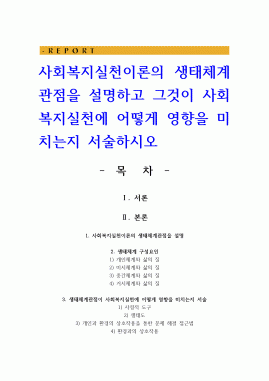 사회복지실천이론의 생태체계관점을 설명하고 그것이 사회복지실천에 어떻게 영향을 미치는지 서술하시오-1페이지