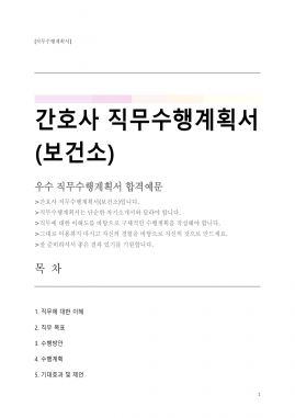 간호사 직무수행계획서(보건소)-1페이지