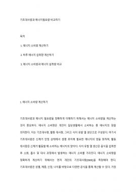 기초대사량과 에너지필요량 비교하기-1페이지