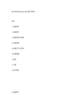 SDS-PAGE & Western Blot 결과 레포트-1페이지