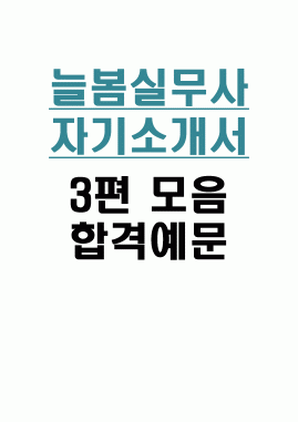 [늘봄실무사 자기소개서 3편 모음 합격예문] 늘봄실무사 자소서 3편 모음 합격예문 늘봄실무사 지원동기 늘봄실무사 주요경력 및 직무수행계획 등 기타 자기소개-1페이지