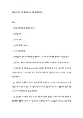 [물리실험1]구슬 롤러코스터 실험 결과레포트-1페이지