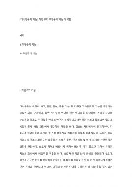 [대뇌반구의 기능] 좌반구와 우반구의 기능과 역할-1페이지