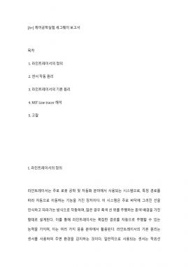 [A+] 제어공학실험 세그웨이 보고서 (1)-1페이지