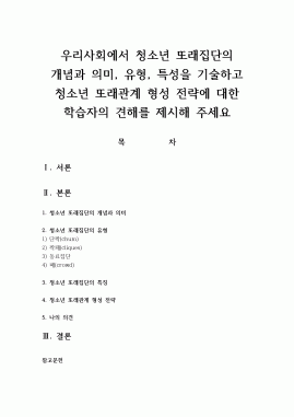 우리사회에서 청소년 또래집단의 개념과 의미 유형 특성을 기술하고 청소년 또래관계 형성 전략에 대한 학습자의 견해를 제시-1페이지