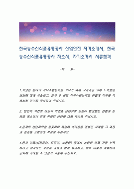 한국농수산식품유통공사 산업안전 자기소개서, 한국농수산식품유통공사 자소서, 자기소개서 서류합격-1페이지