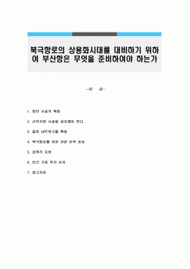 북극항로의 상용화시대를 대비하기 위하여 부산항은 무엇을 준비하여야 하는가-1페이지