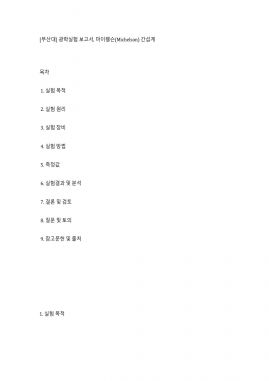 [부산대] 광학실험 보고서, 마이켈슨(Michelson) 간섭계-1페이지