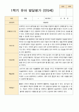 유아발달평가 만 5세 21명 1학기 2학기 -평가제-1페이지