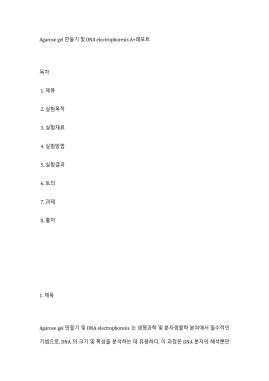 Agarose gel 만들기 및 DNA electrophoresis  A+레포트-1페이지