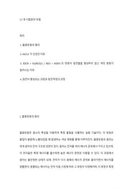 13개 시험관의 비밀-1페이지