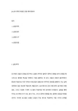 [A+]포사체의 포물선 운동 예비레포트-1페이지