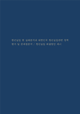 청년실업 현 실태분석과 대한민국 청년실업관련 정책평가 및 문제점분석 / 청년실업 해결방안 제시-1페이지