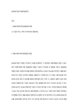 글로벌기업의 외환위험관리-1페이지