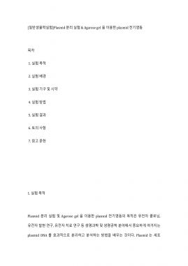 [일반생물학실험]Plasmid 분리 실험 & Agarose gel을 이용한 plasmid 전기영동-1페이지