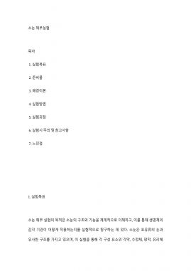 소눈 해부실험-1페이지